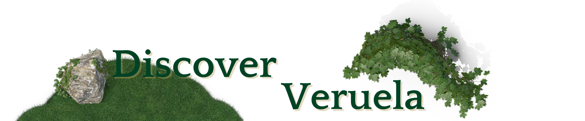 Veruela Gender and Development